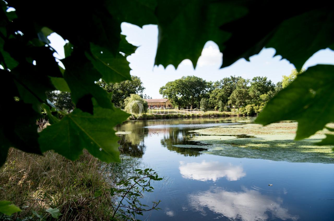 Domaine de la Palue à Castets (40260) - Location de salle pour mariage
